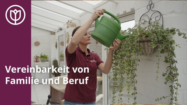 Beruf und Freizeit: Die optimale Vereinbarkeit in Deutschland ...